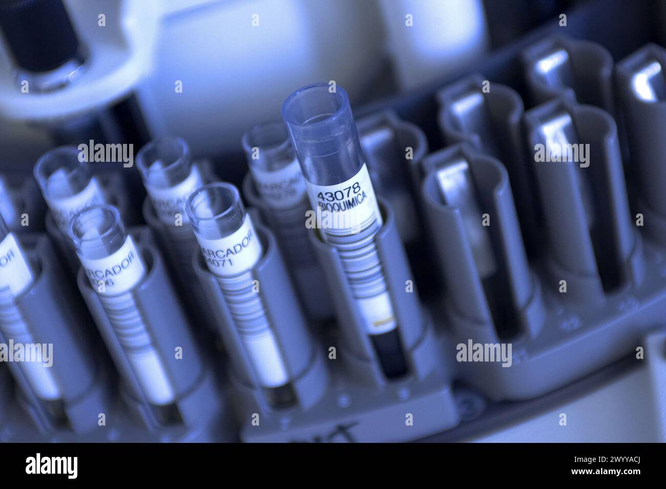 Clinical tests, laboratory. Hospital Universitario Gran Canaria Doctor ...