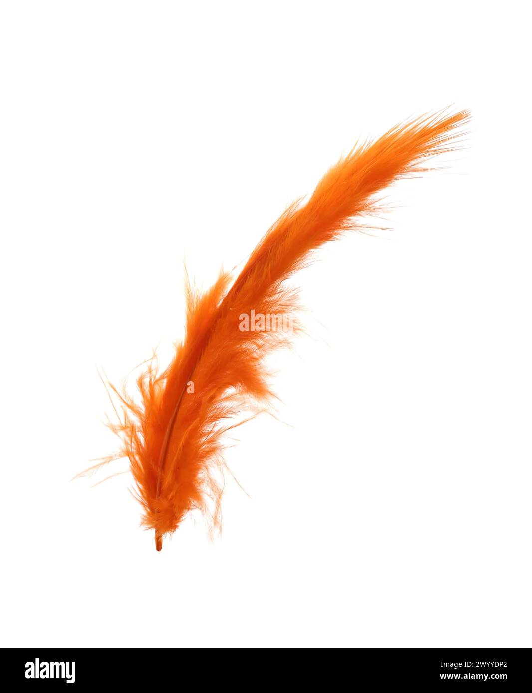 Fluffy beautiful orange feather isolated on white Stock Photo - Alamy