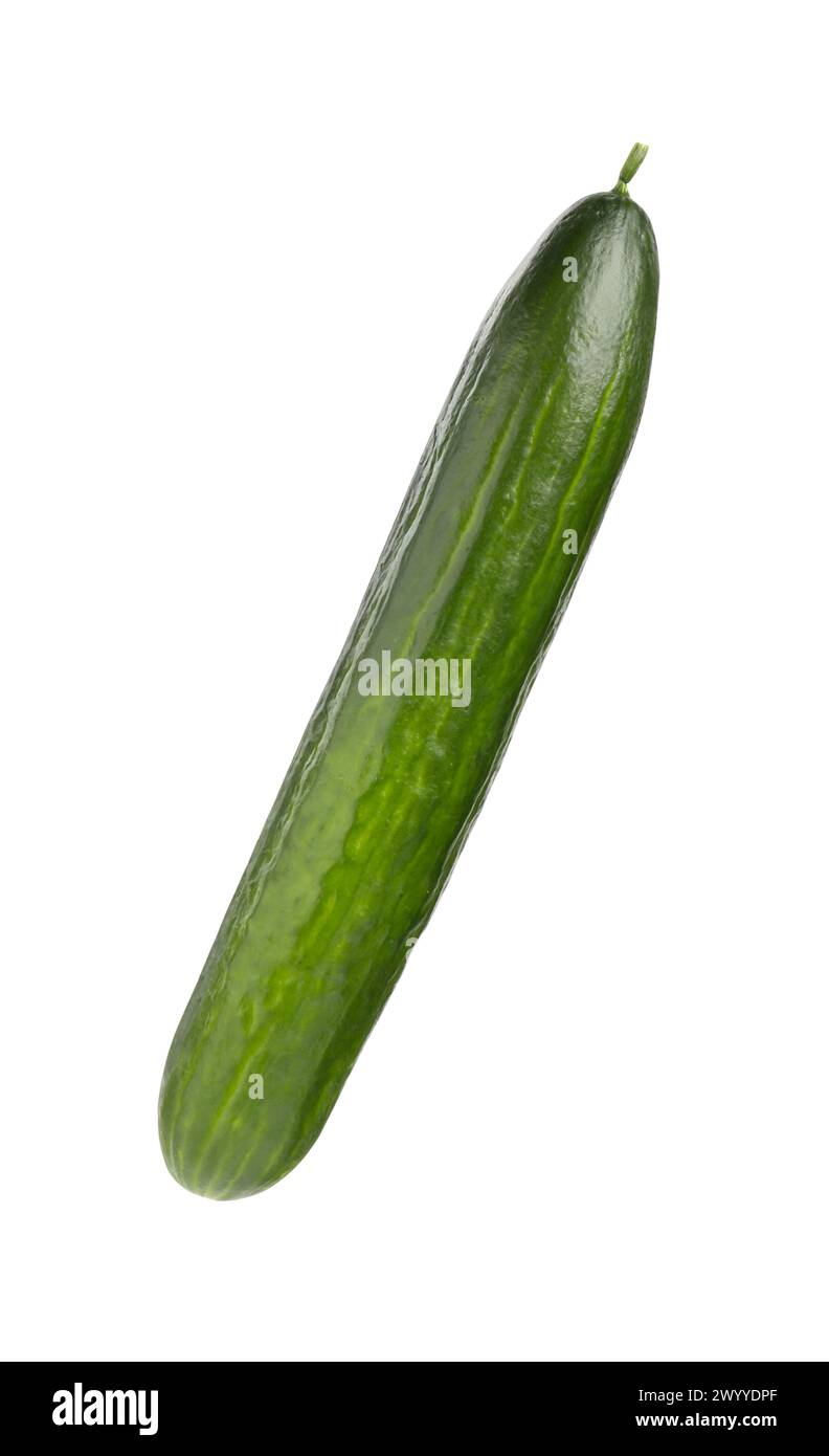 One long fresh cucumber isolated on white Stock Photo - Alamy