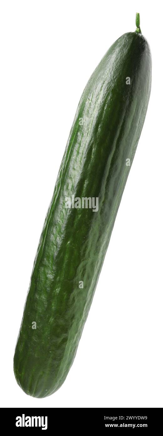 One long fresh cucumber isolated on white Stock Photo - Alamy