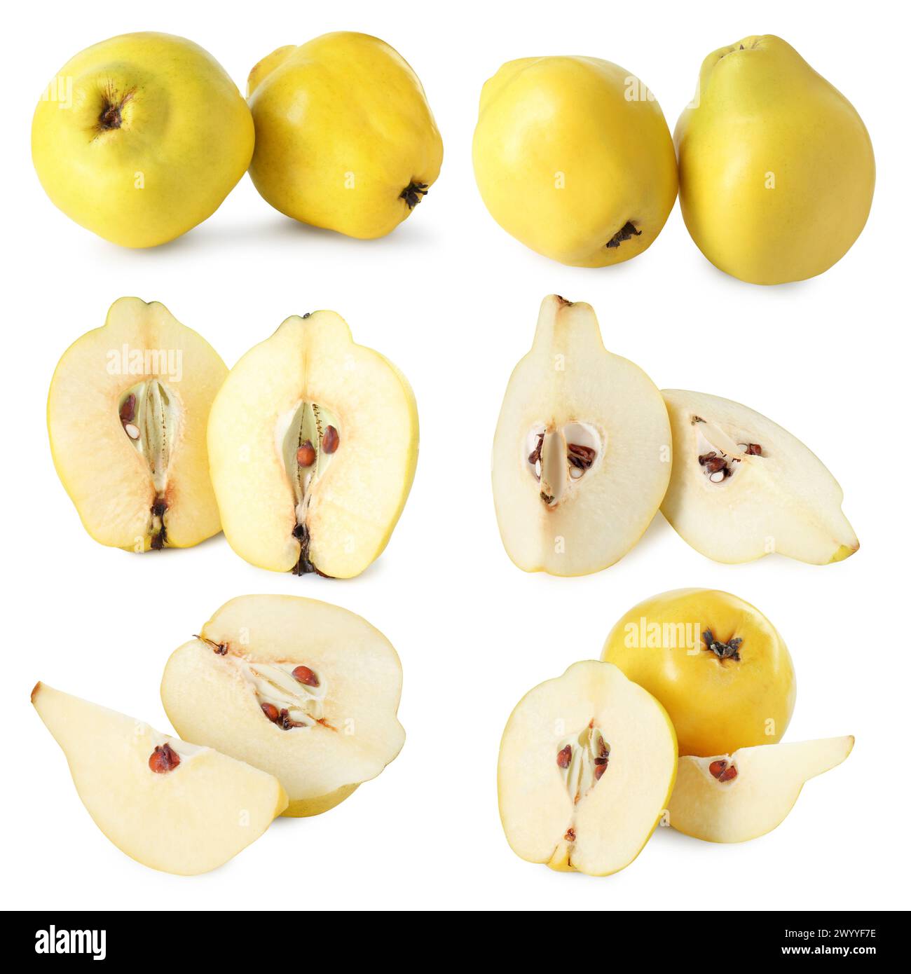 Fresh ripe quince fruits isolated on white, set Stock Photo - Alamy
