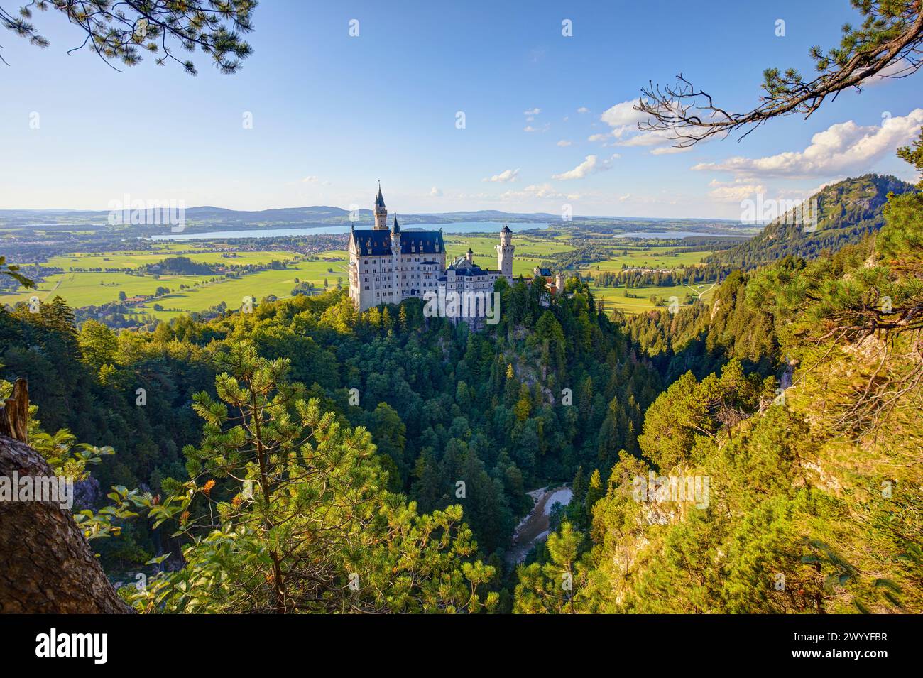 Neuschwanstein Castle in Bavaria, Germany Stock Photo - Alamy
