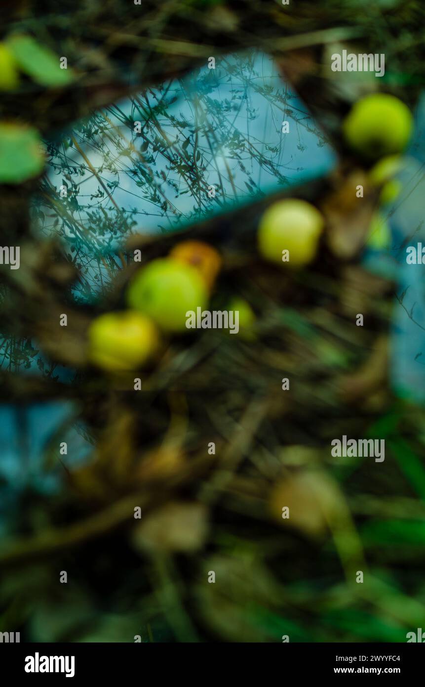 the reflection of the sky and the grass in shards of glass under an ...