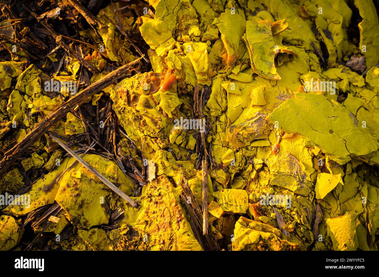 ecological disaster, trash, rotten yellow paint abandoned in nature ...