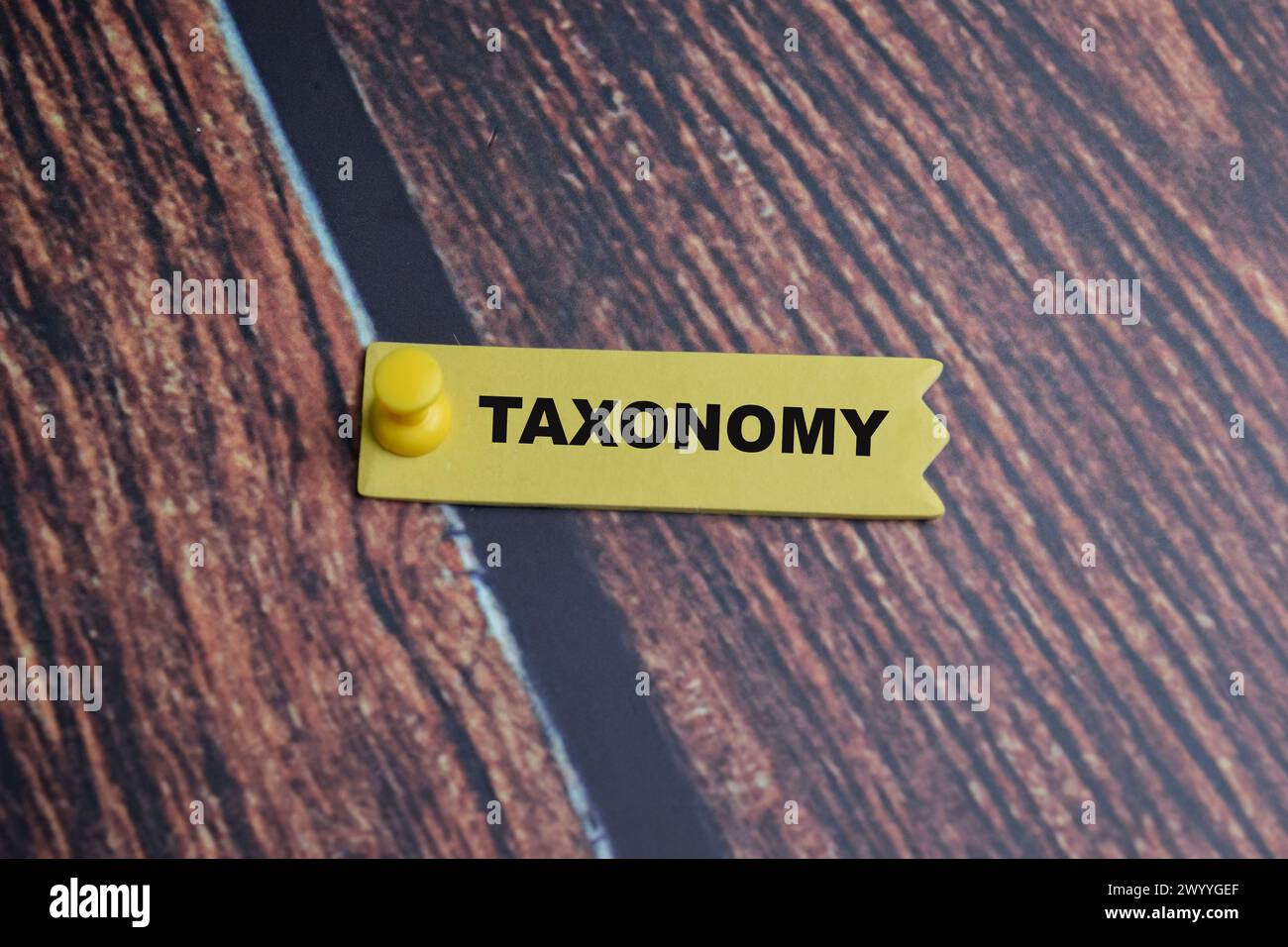 Finance taxonomy hi-res stock photography and images - Alamy