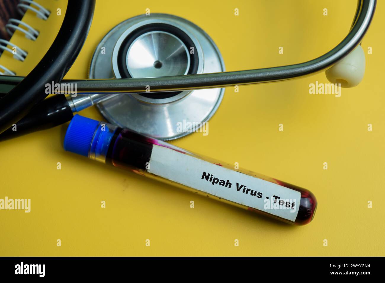 Pigs brain science hi-res stock photography and images - Alamy