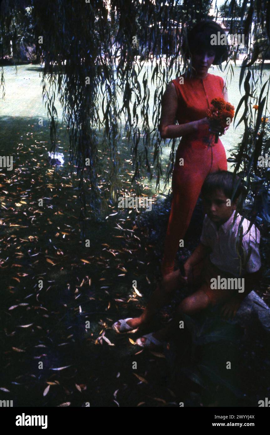 GINA LOLLOBRIGIDA and her only child MILKO SKOFIC Jr. colour candid at ...