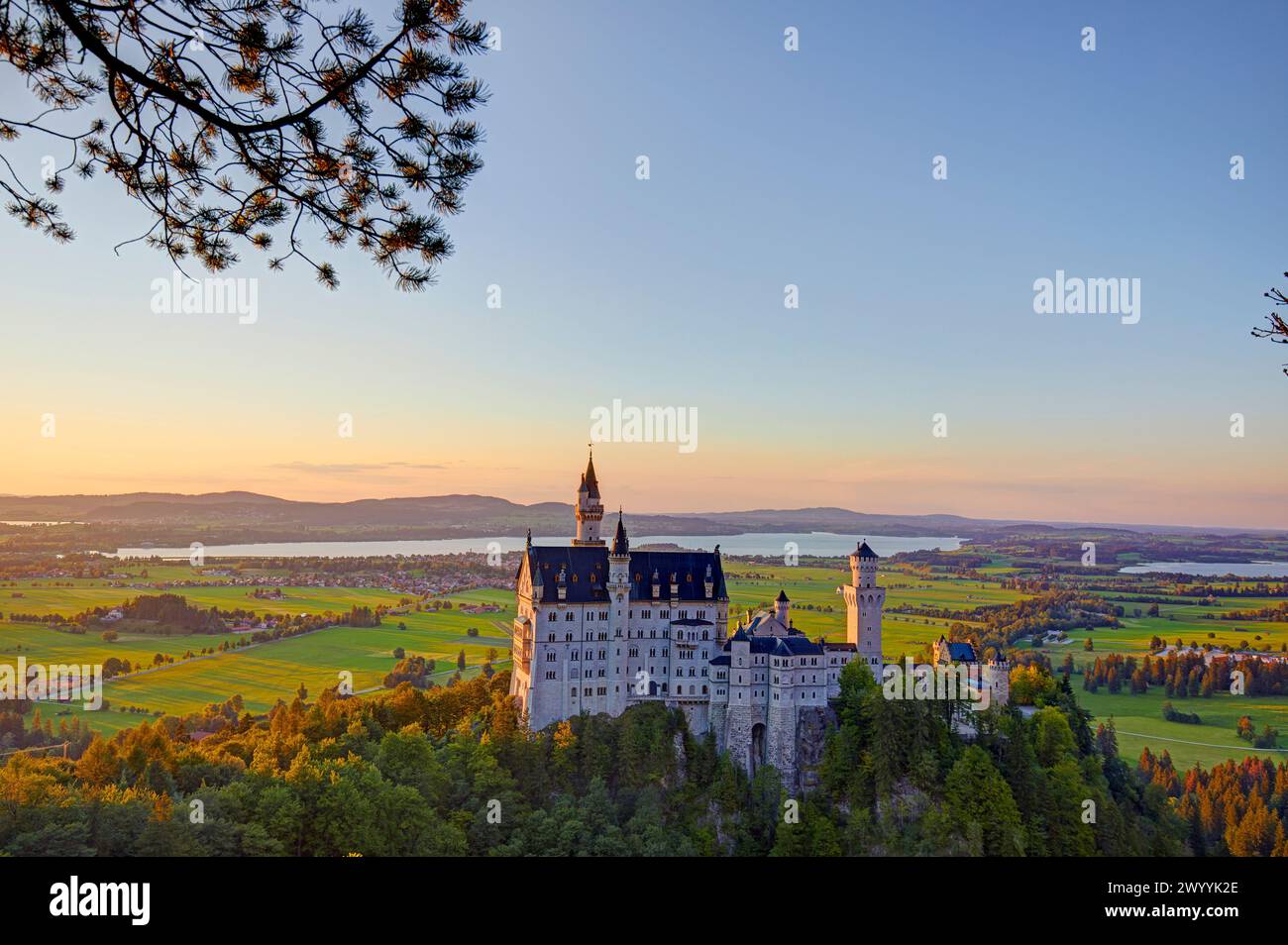 Neuschwanstein castle architecture hi-res stock photography and images ...