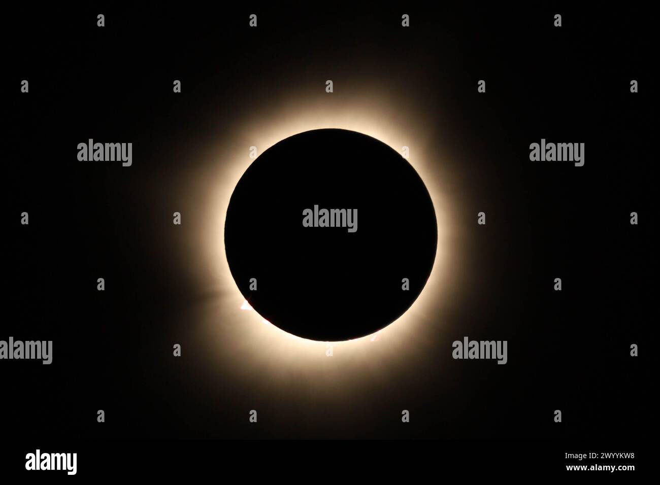 Jackman, Maine, USA. 8th Apr, 2024. Total solar eclipse is seen in the ...