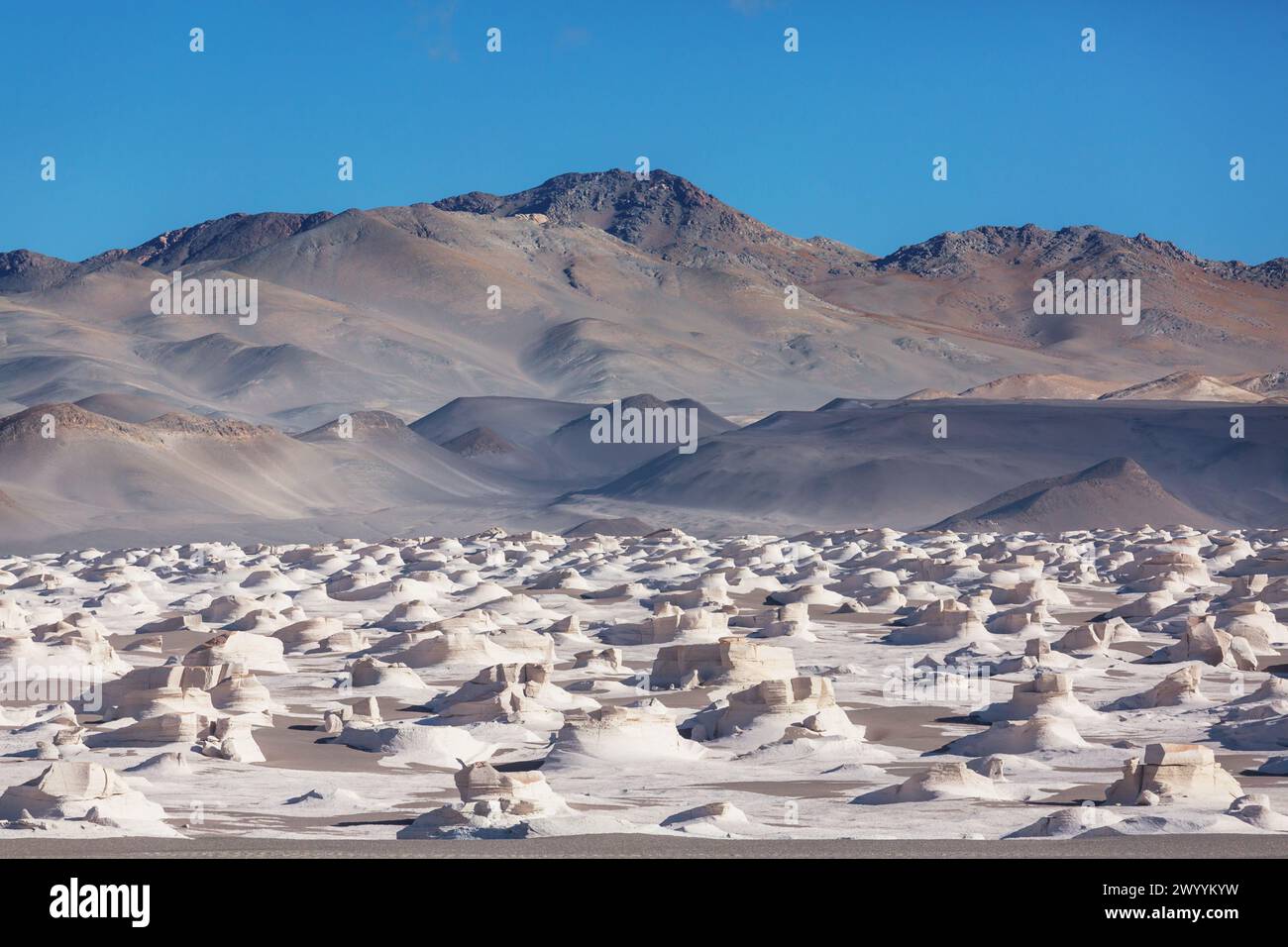 Fantastic Scenic landscapes of Northern Argentina. Beautiful inspiring ...