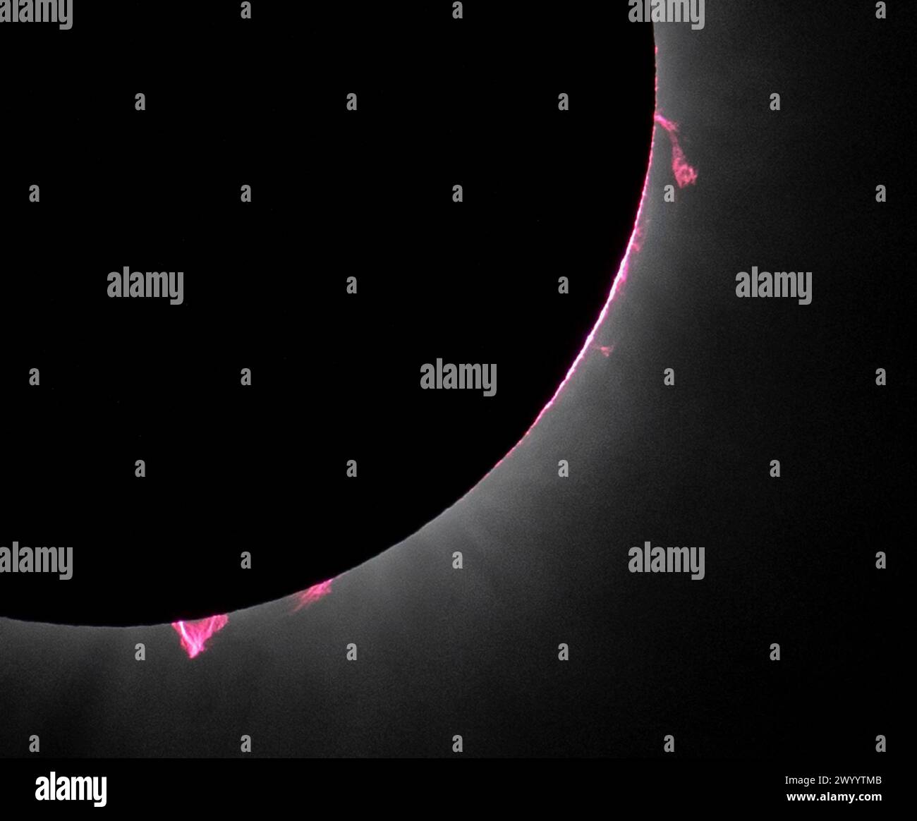 Dallas, United States Of America. 08th Apr, 2024. Dallas, United States ...