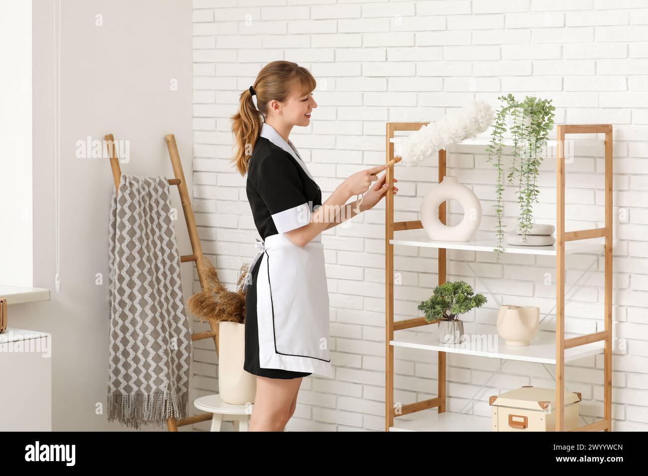 Beautiful maid with hand duster cleaning rack in living room Stock ...