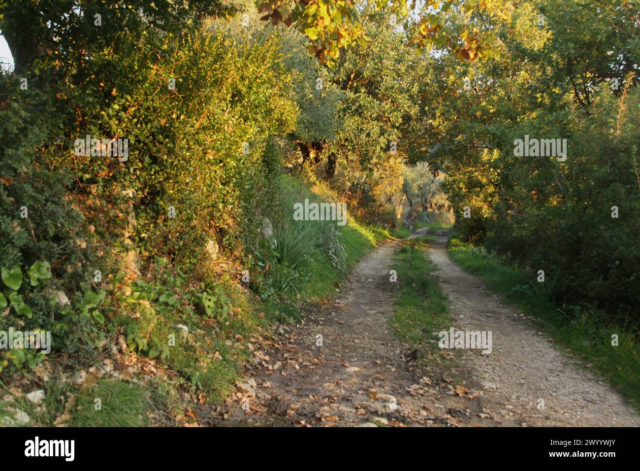 Formia, Italy. Unpaved road through a village at the base of the ...