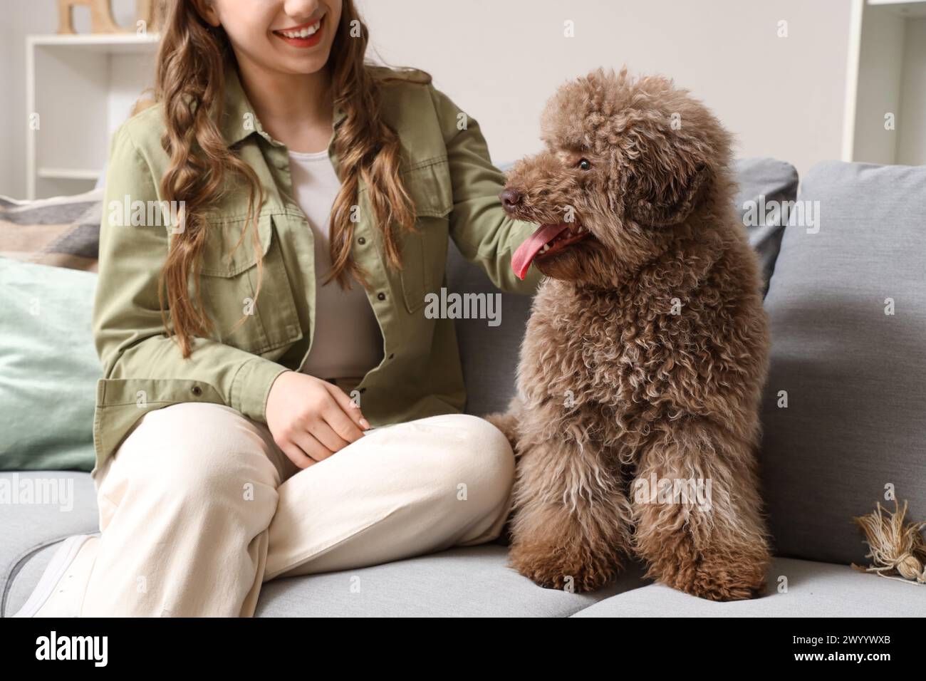 Cute poodle with owner sitting on sofa at home Stock Photo - Alamy