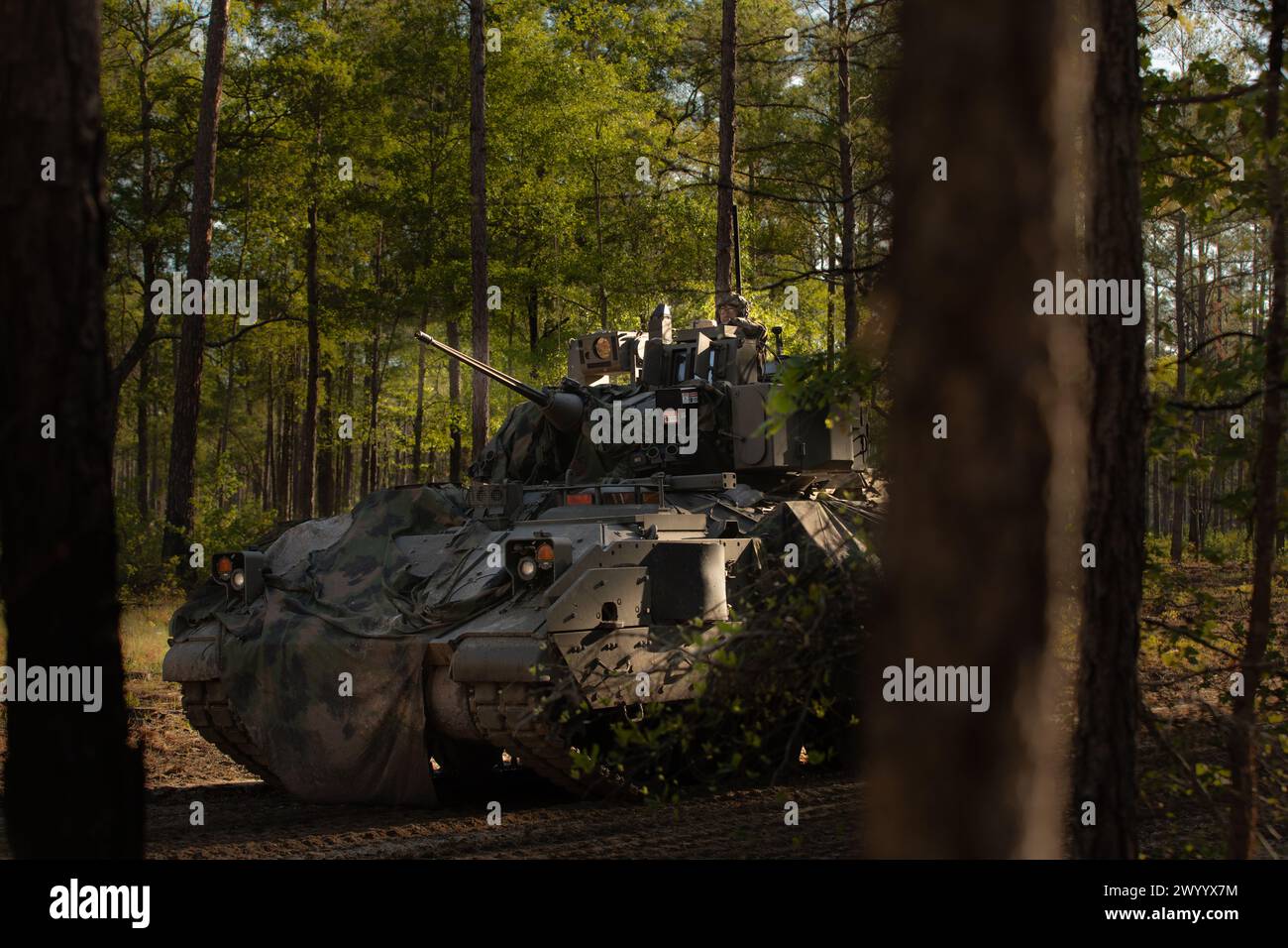 A U.S. Army Soldier assigned to 1st Battalion, 64th Armor Regiment, 3rd ...