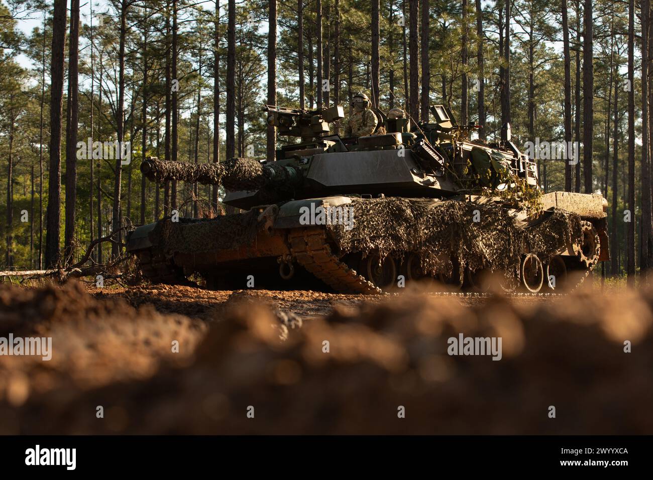 U.S. Army Soldiers assigned to 1st Battalion, 64th Armor Regiment, 3rd ...