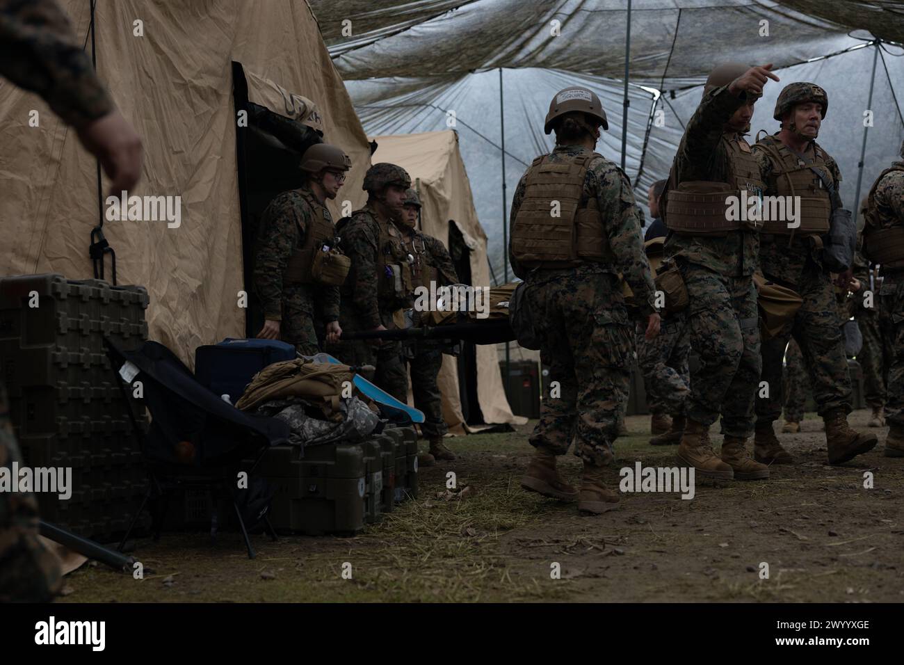 Battalion s medical readiness requirements hi-res stock photography and ...