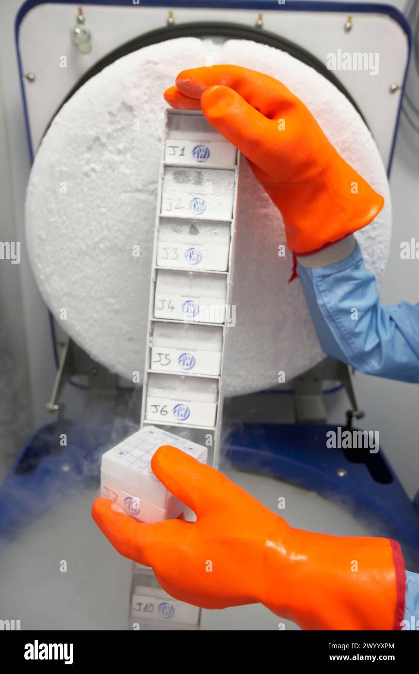 Cryogenic samples in liquid hi-res stock photography and images - Alamy
