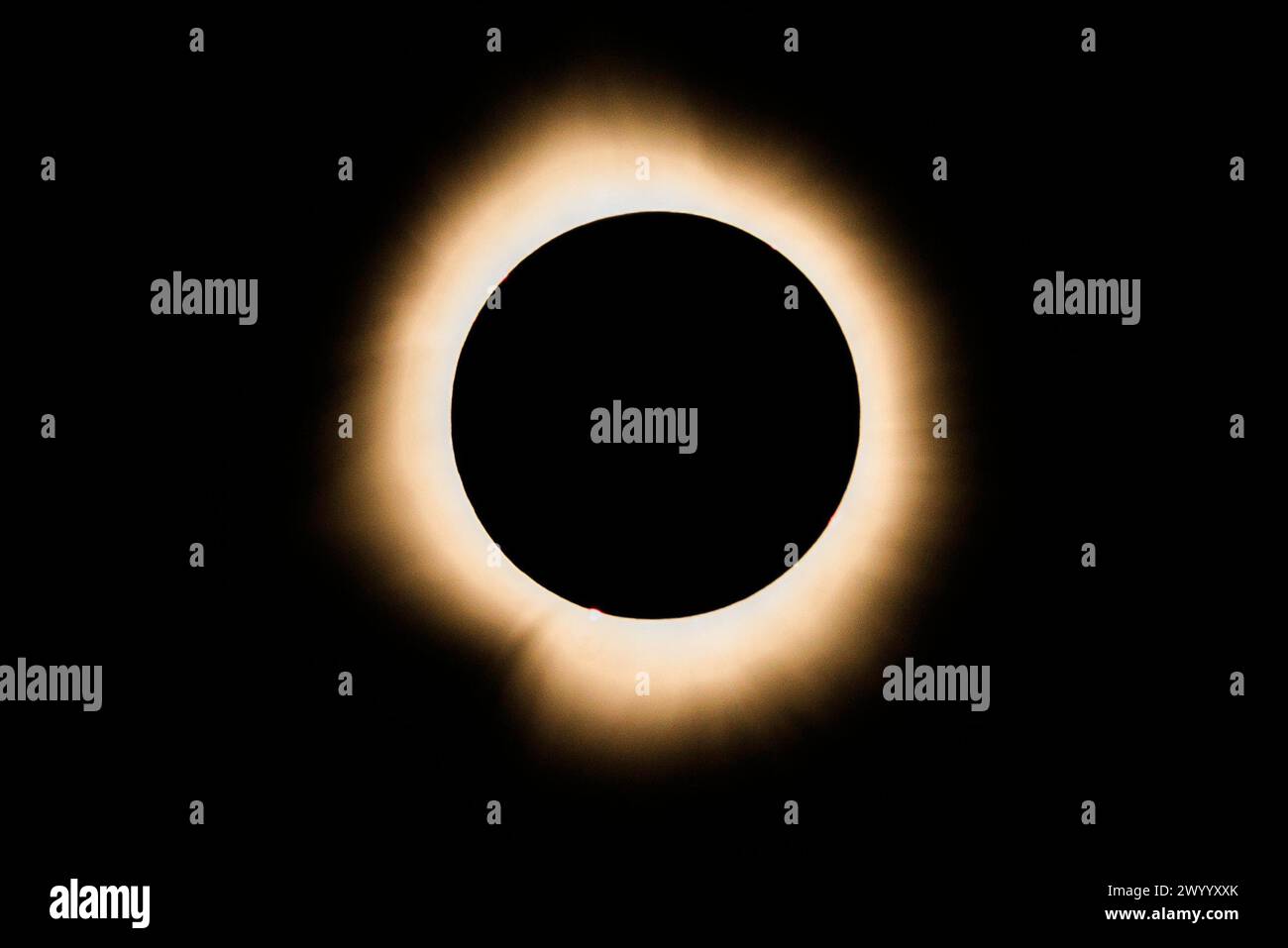 A solar eclipse is seen during totality rom Coaticook, Quebec, Canada ...