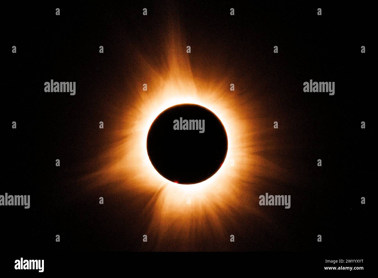 A solar eclipse is seen during totality rom Coaticook, Quebec, Canada ...