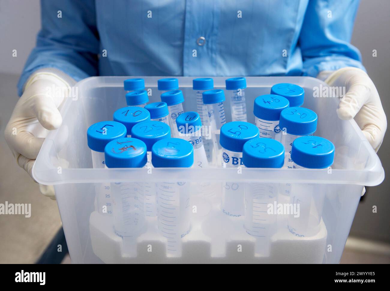 Biological samples. Quarantine zone (Grade C), clean room. Laboratory ...