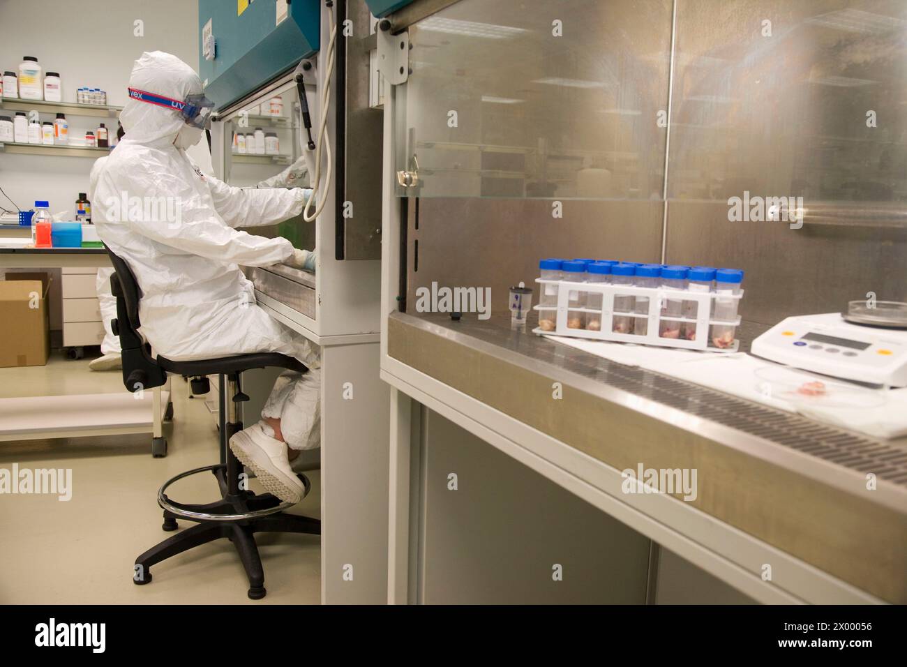 EEEETT sample, Laboratory of Bacteriology, Departamento de Producción y ...