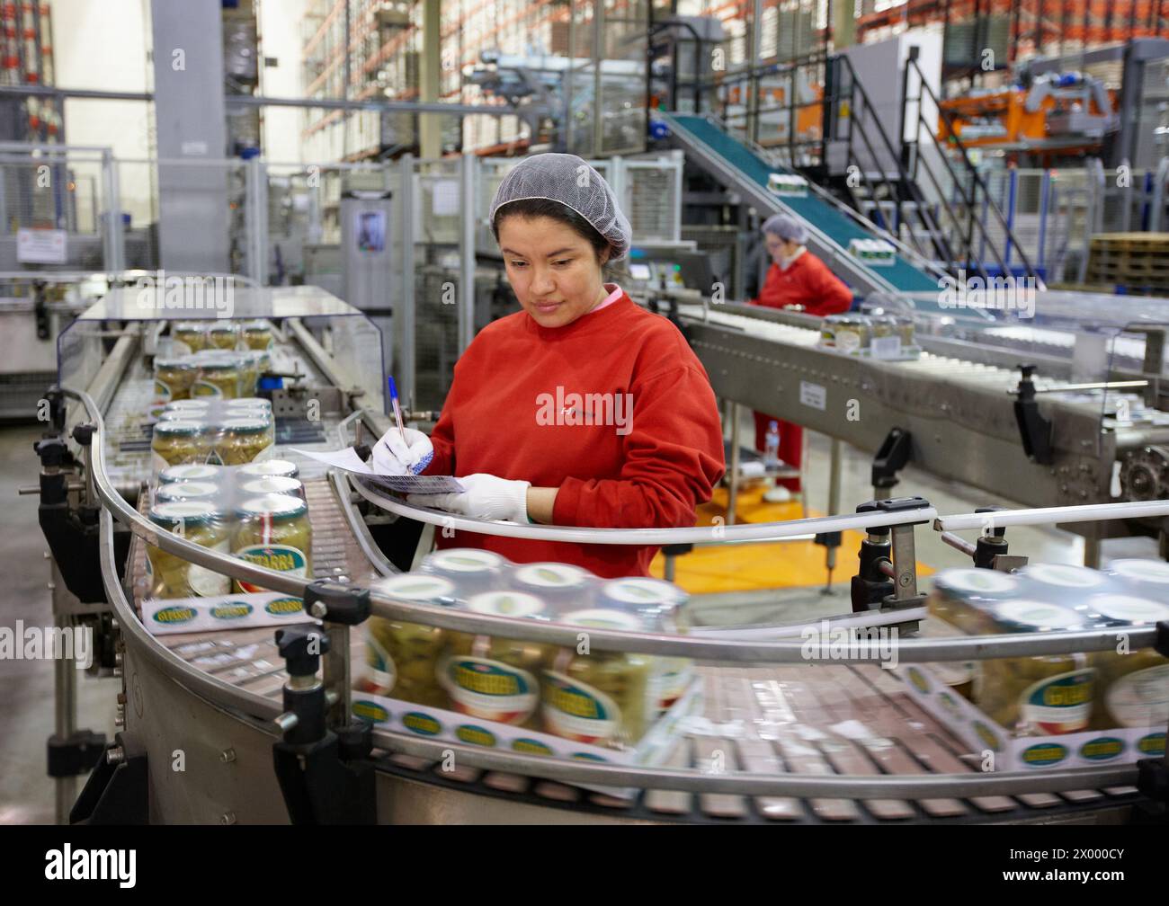 Labeling and packaging canned vegetables, Green bean, Canning Industry ...