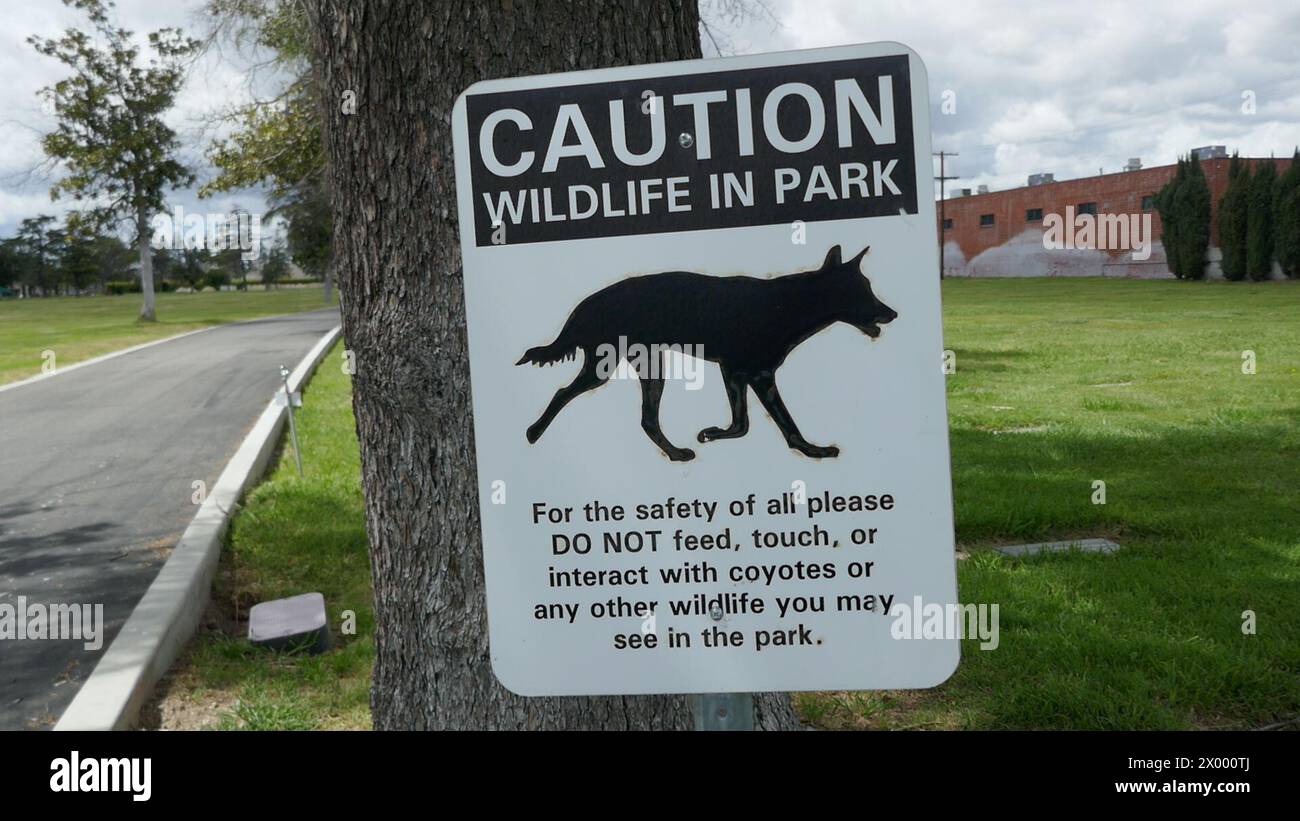 North Hollywood, California, USA 5th April 2024 Coyote Caution Wildlife ...