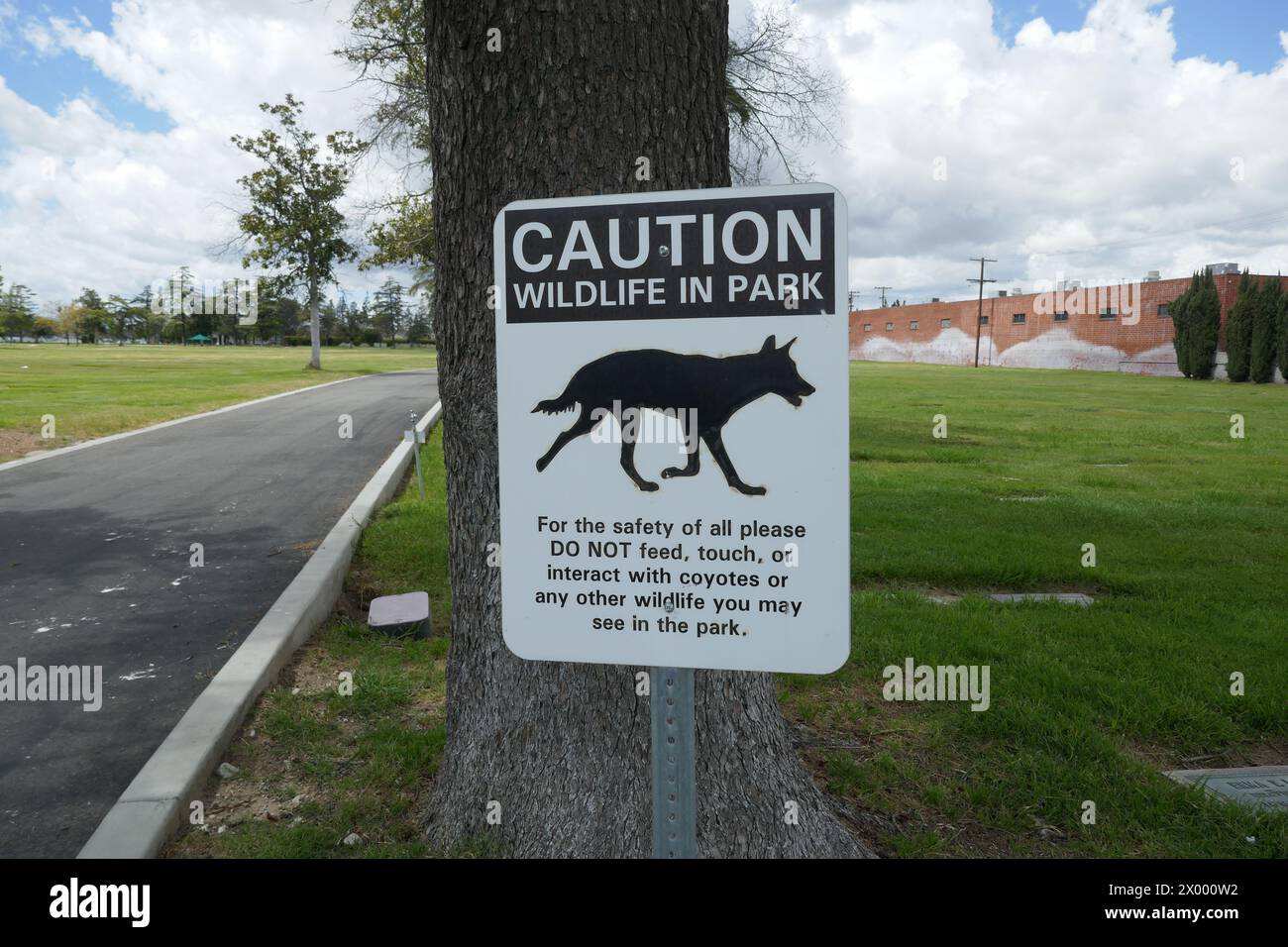 North Hollywood, California, USA 5th April 2024 Coyote Caution Wildlife ...