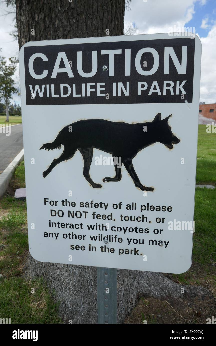North Hollywood, California, USA 5th April 2024 Coyote Caution Wildlife ...