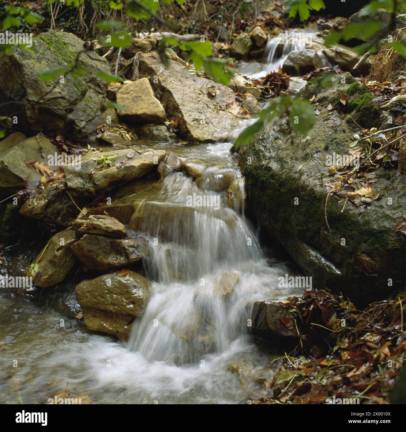 Alzania River. Guipúzcoa. Spain Stock Photo - Alamy