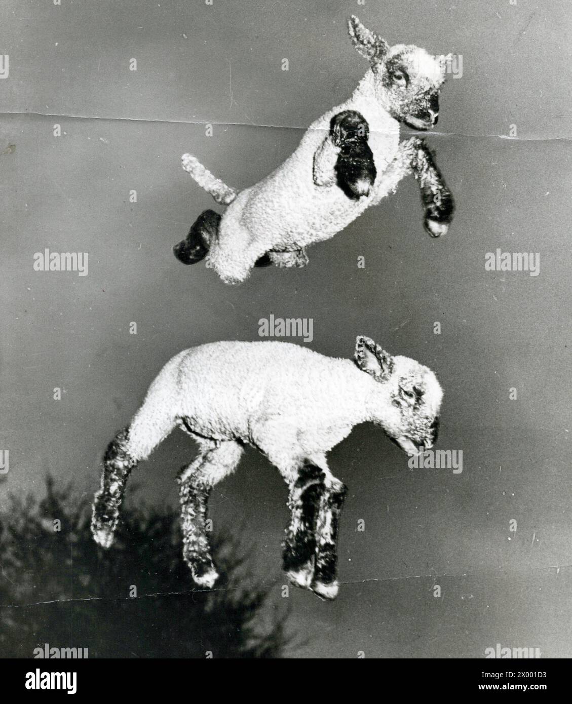 May 8, 1957: Patcham, England, United Kingdom: Despite the foggy day ...