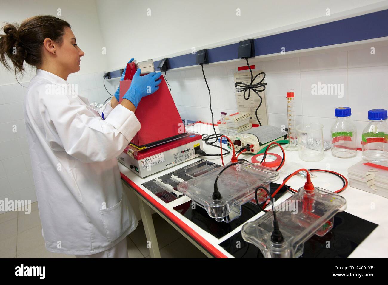 Agarose gel electrophoresis Agarose gels allow to separate charged ...