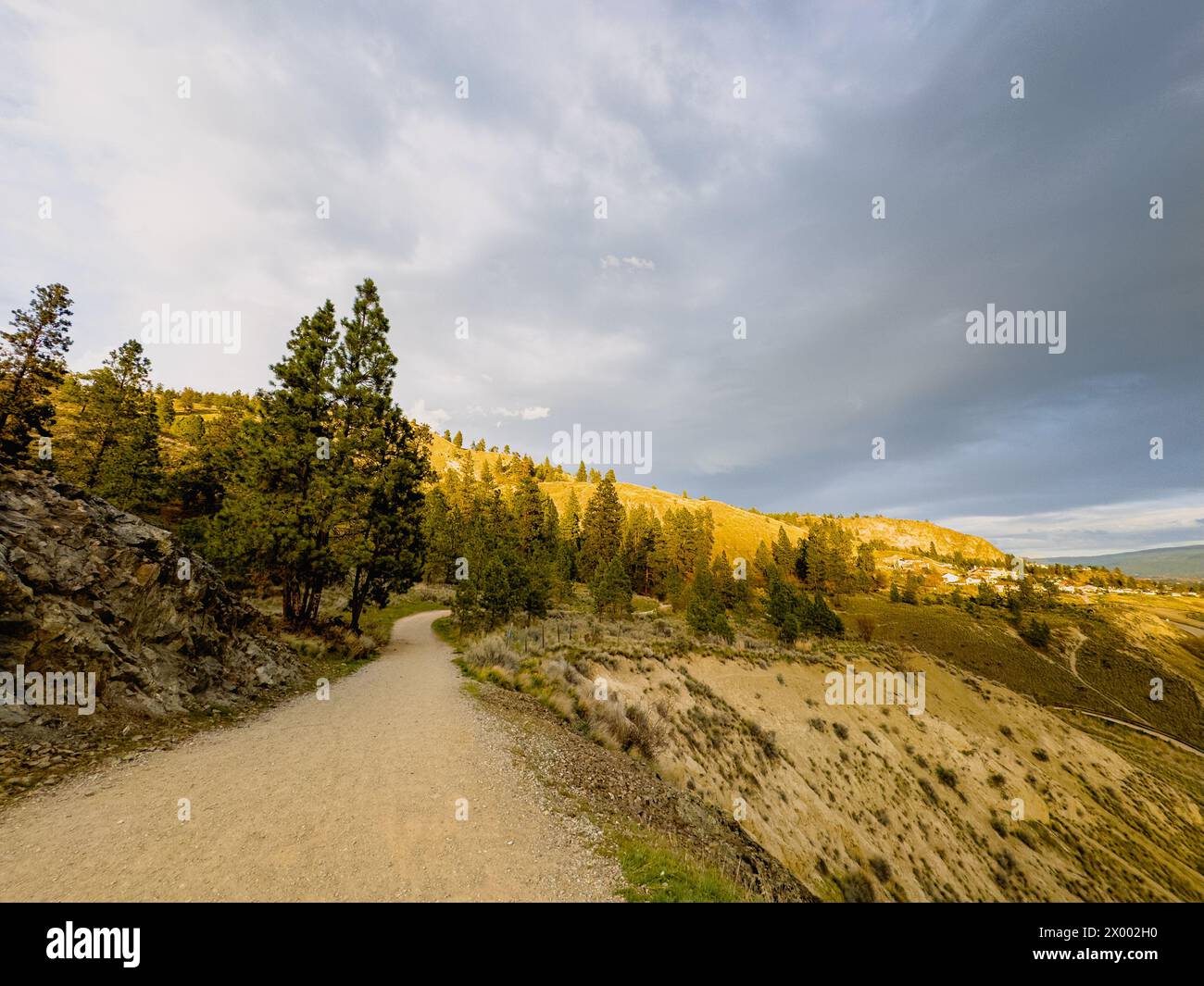 Walking path on hillside with evergreen trees and overcast sky above ...