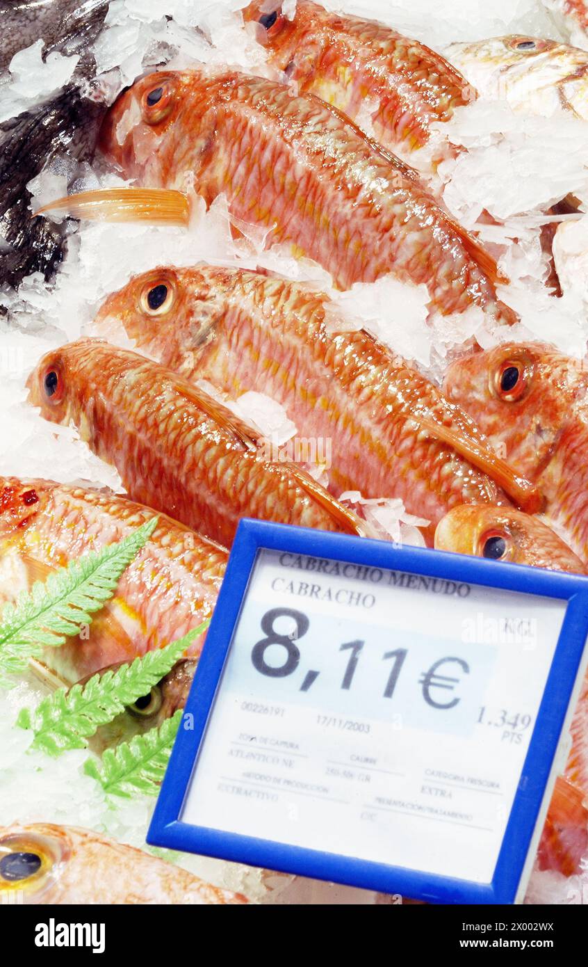 Fish description hi-res stock photography and images - Alamy