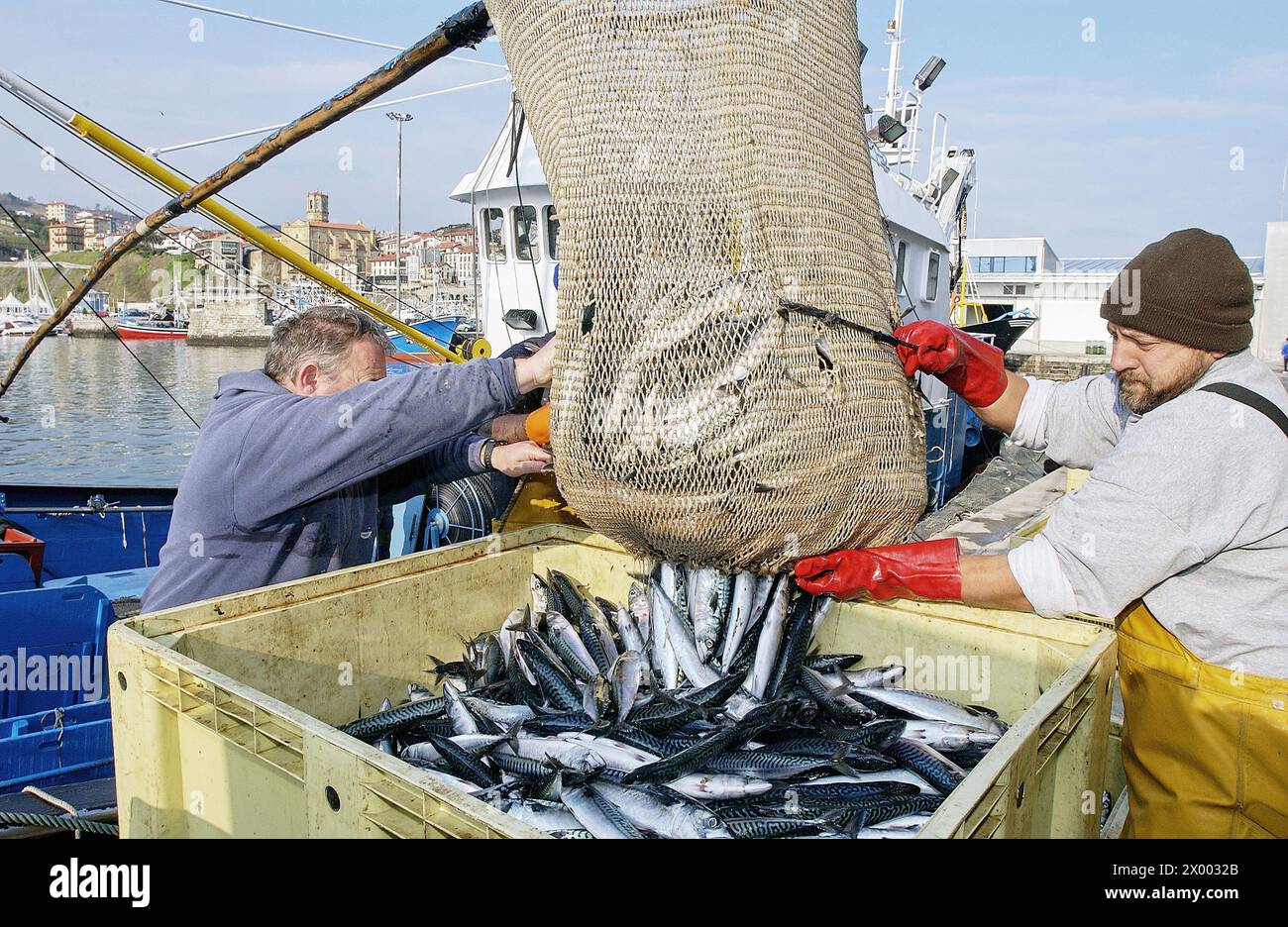 Unloading fish at fishing port. Getaria. Guipúzcoa, Spain Stock Photo ...
