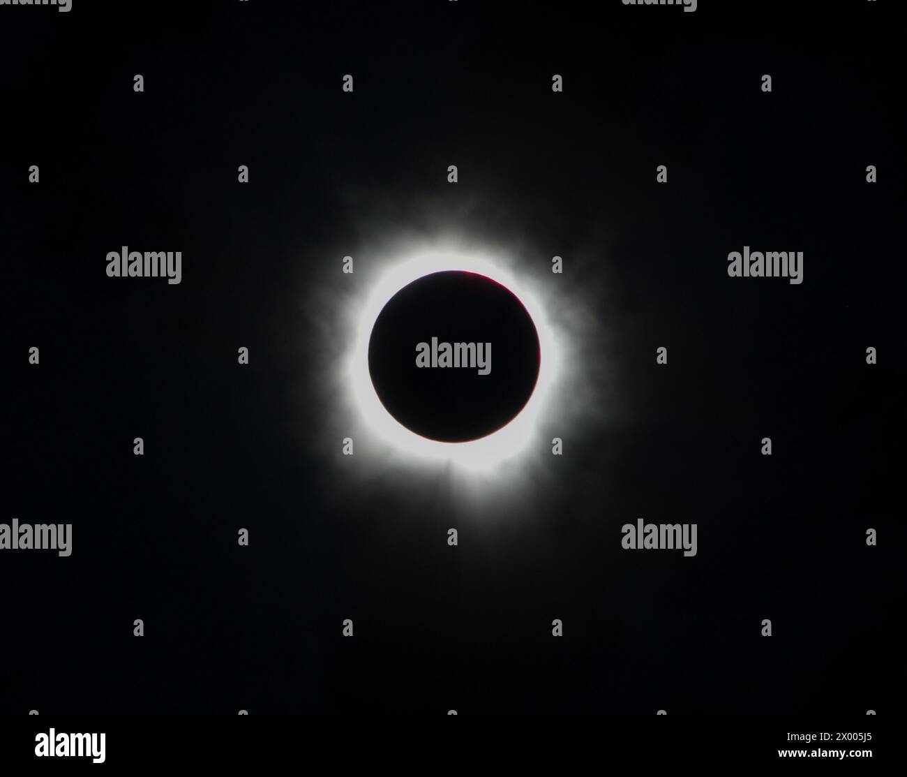 Corona solar eclipse, full eclipse in Texas on April 8, 2024 Stock ...