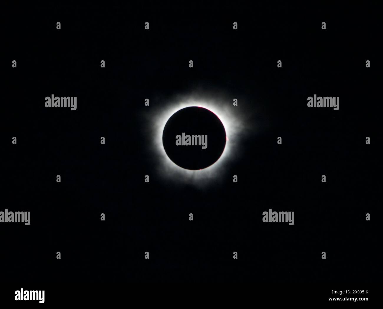 corona around the sun in a total solar eclipse in Texas on April 8 ...
