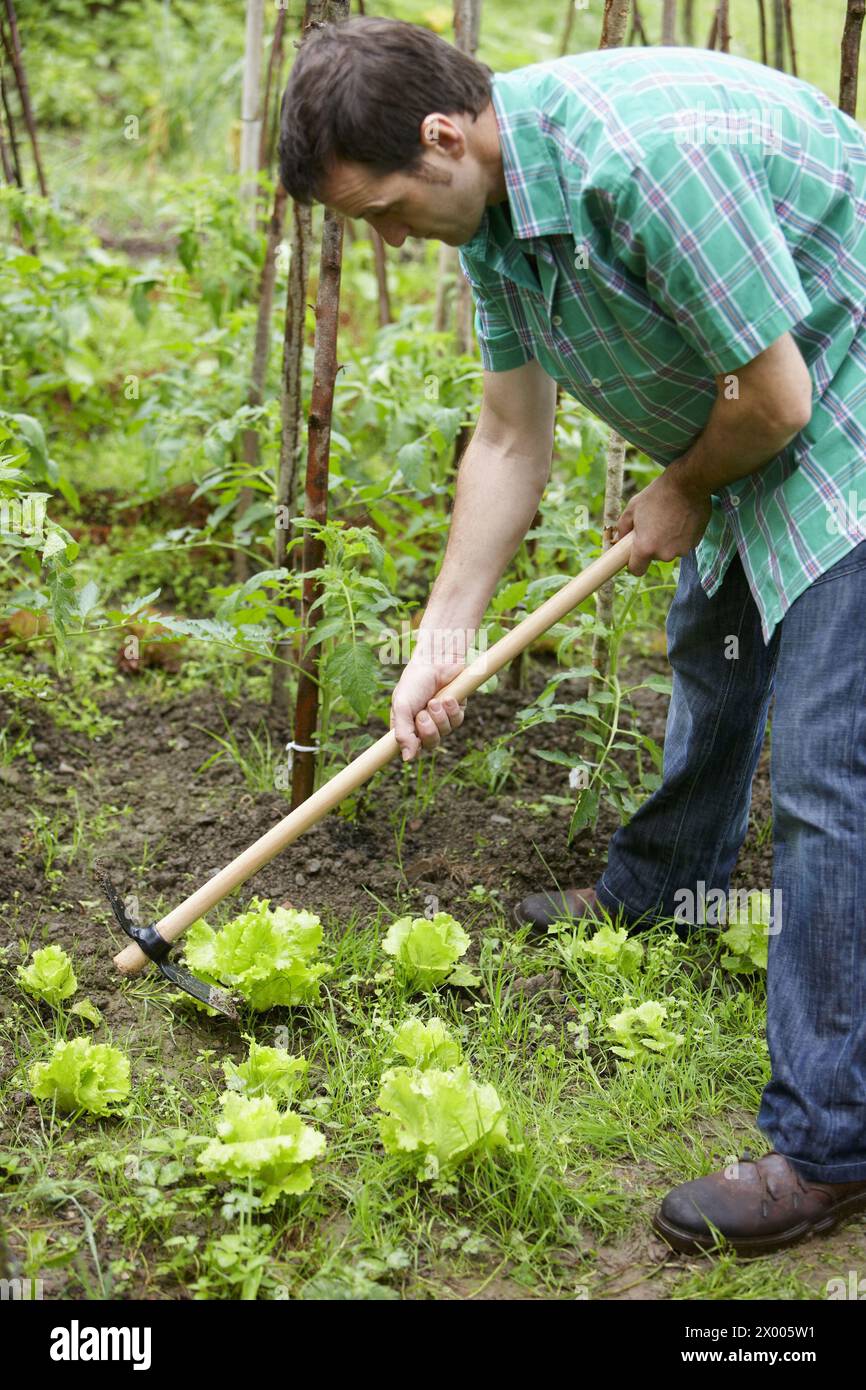 Farmer using hoe hand tool hi-res stock photography and images - Alamy