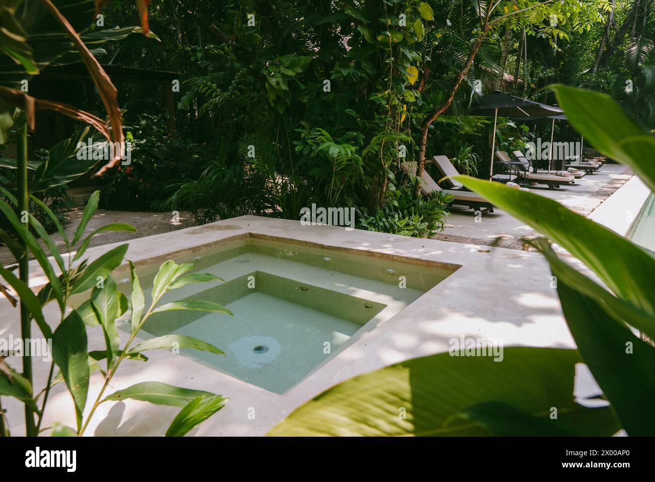 Infinity pool in forest hi-res stock photography and images - Alamy