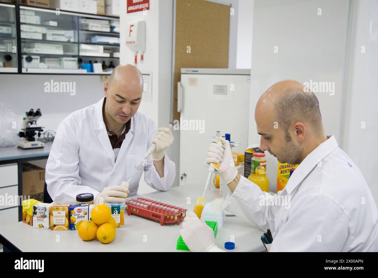 Molecular Biology Laboratory. Preparing samples to detect the addition ...