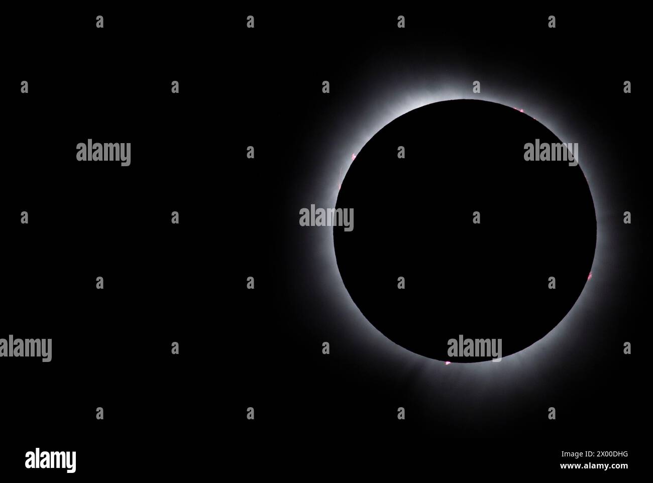 1869 eclipse hi-res stock photography and images - Alamy