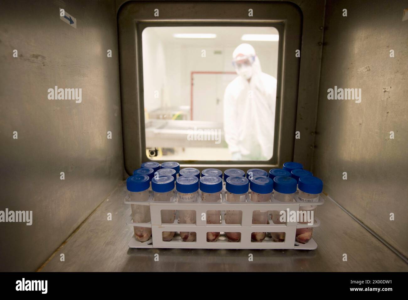 Necropsy hi-res stock photography and images - Alamy