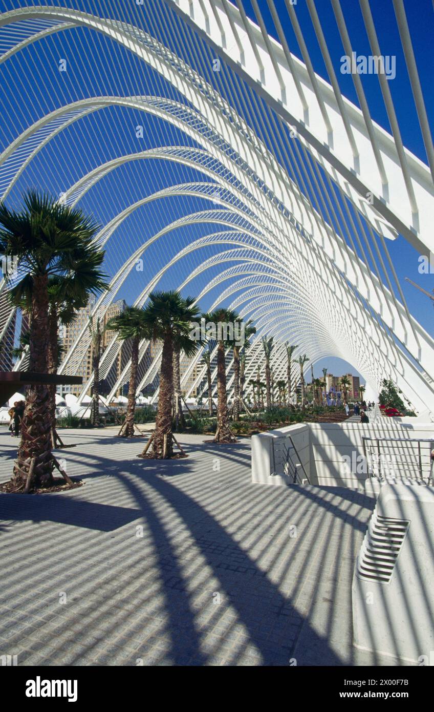 Umbracle palms hi-res stock photography and images - Alamy