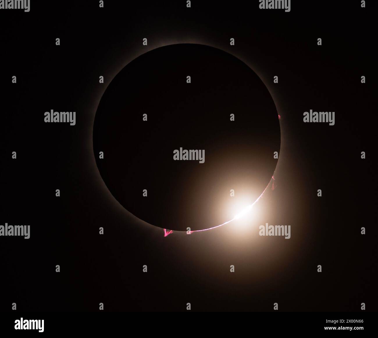 The Solar Eclipse totality in Highgate Springs, Vermont from a maple ...