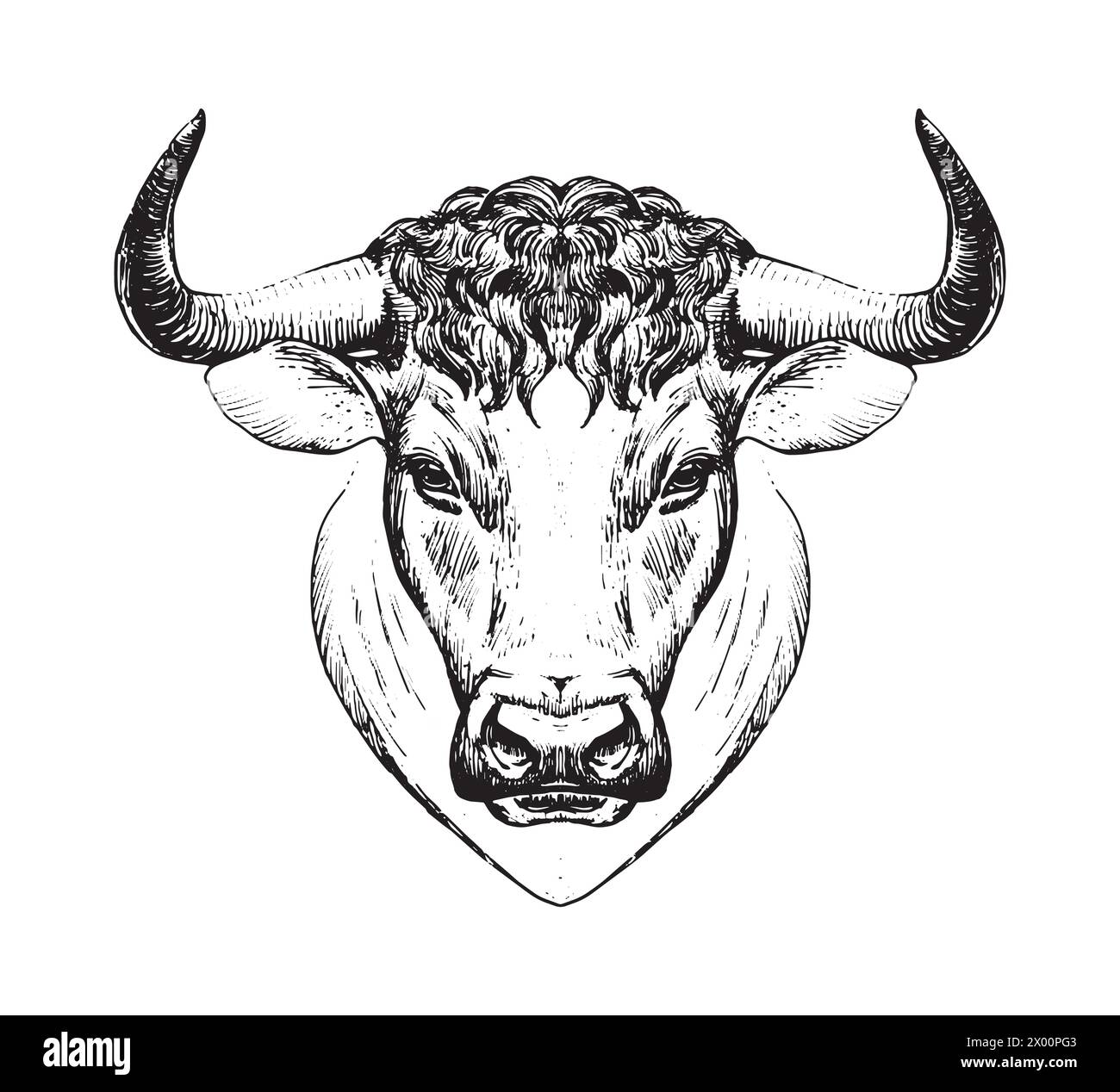 Year of the Ox, zodiac sign Taurus, bull's face, farm animal. Isolated ...