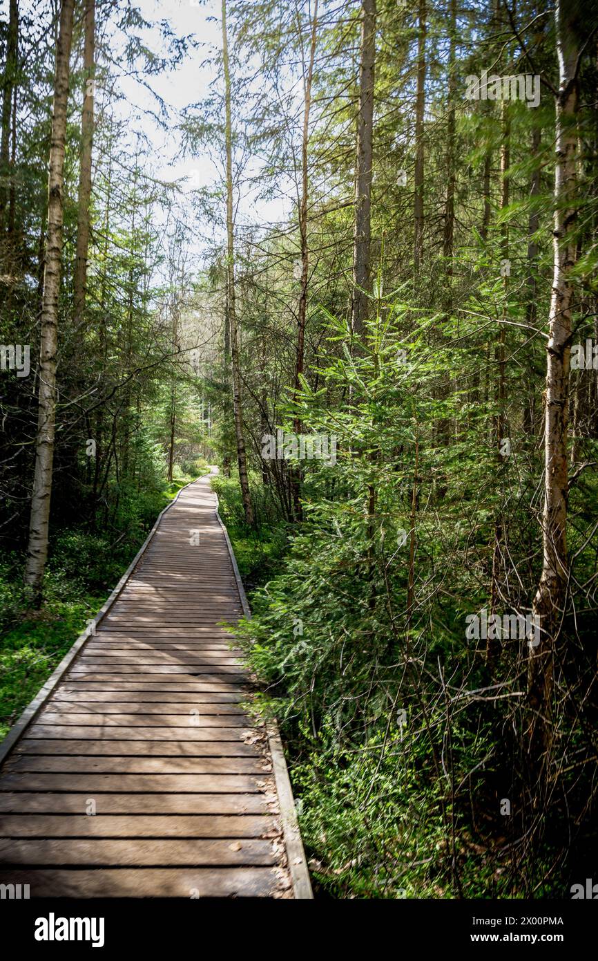 Pathway to adventure hi-res stock photography and images - Alamy