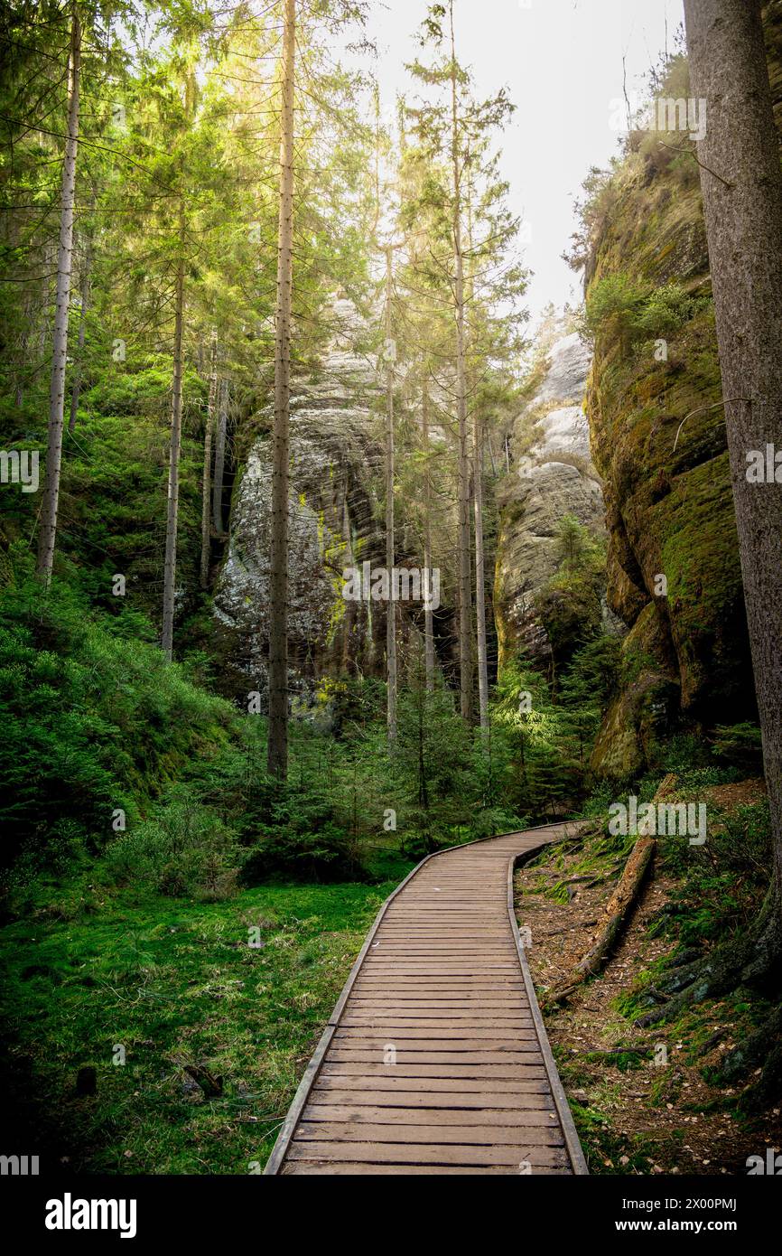 Pathway leading into the woods hi-res stock photography and images - Alamy