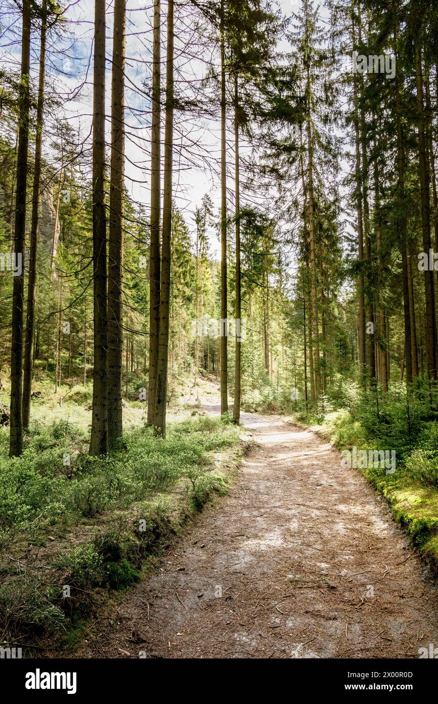 Dirt pathway through lush greenery hi-res stock photography and images ...