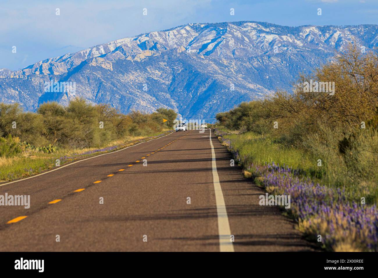 Road and mountain range with snow-capped Mica Mountain, Saguaro ...